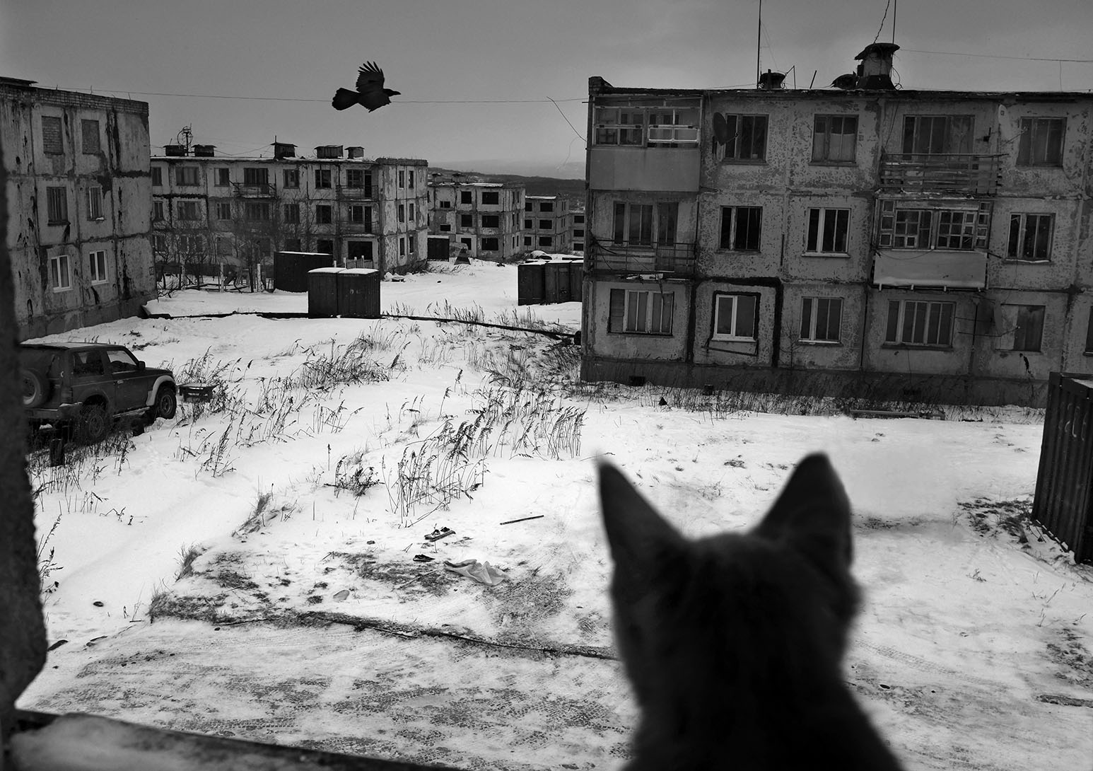 Calamity Islands - Calamity Islands